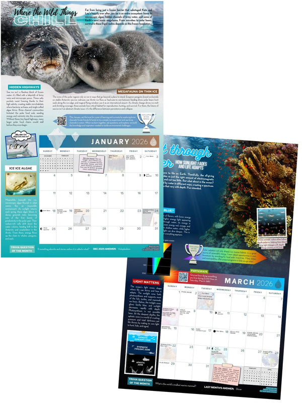 2026 Waterlust Ocean Calendar | Marine Education