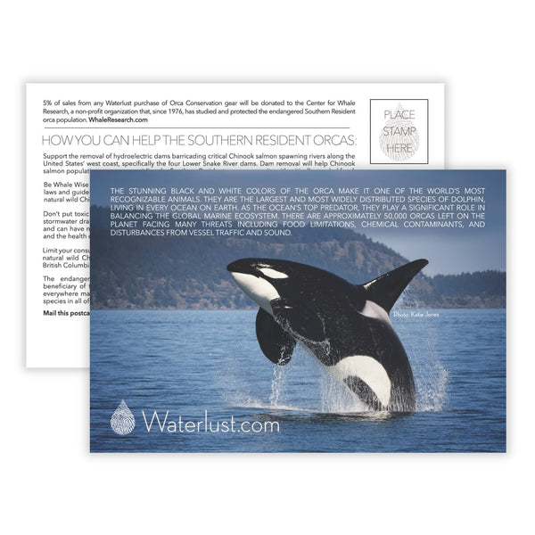 Orca Conservation Call-To-Action Postcard - Waterlust